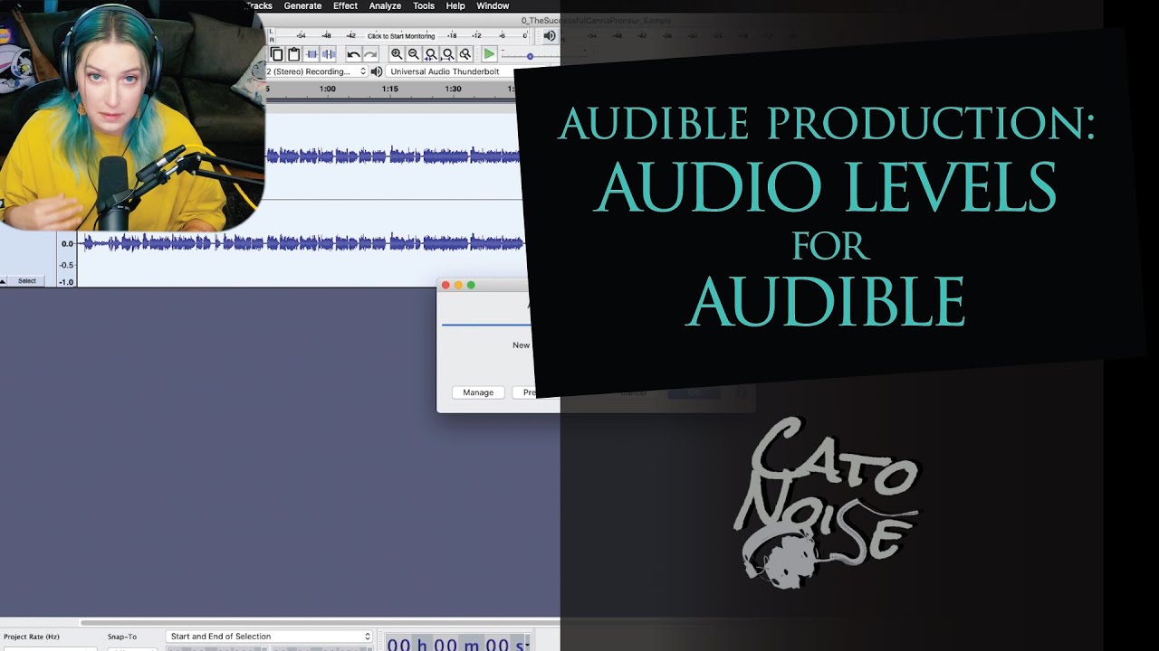 Making Audible Books: How to Get Your Levels Right For Audible - YouTube