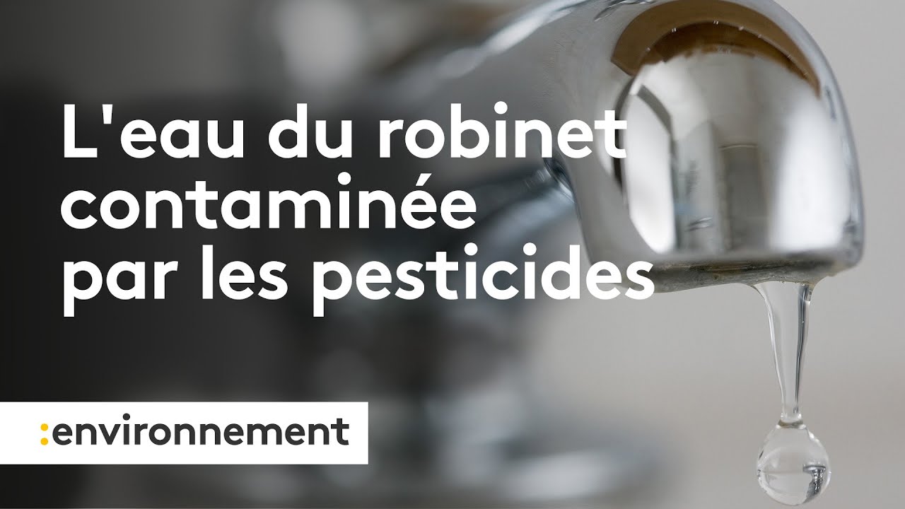 L'eau du robinet contaminée par les pesticides - YouTube