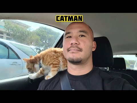 Catman - YouTube