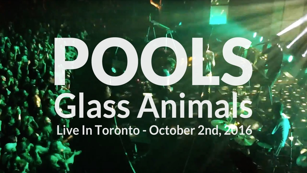 Glass Animals - Pools (Live in Toronto) - YouTube