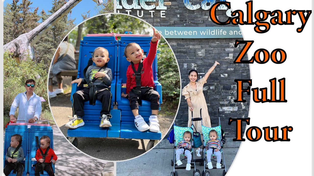 Full Walkthrough Tour of Calgary Zoo | Canada’s Most Visited Zoo | Kids ...