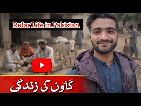 Hamary Gau Ki Routine| Mesum Dehati Vlogs