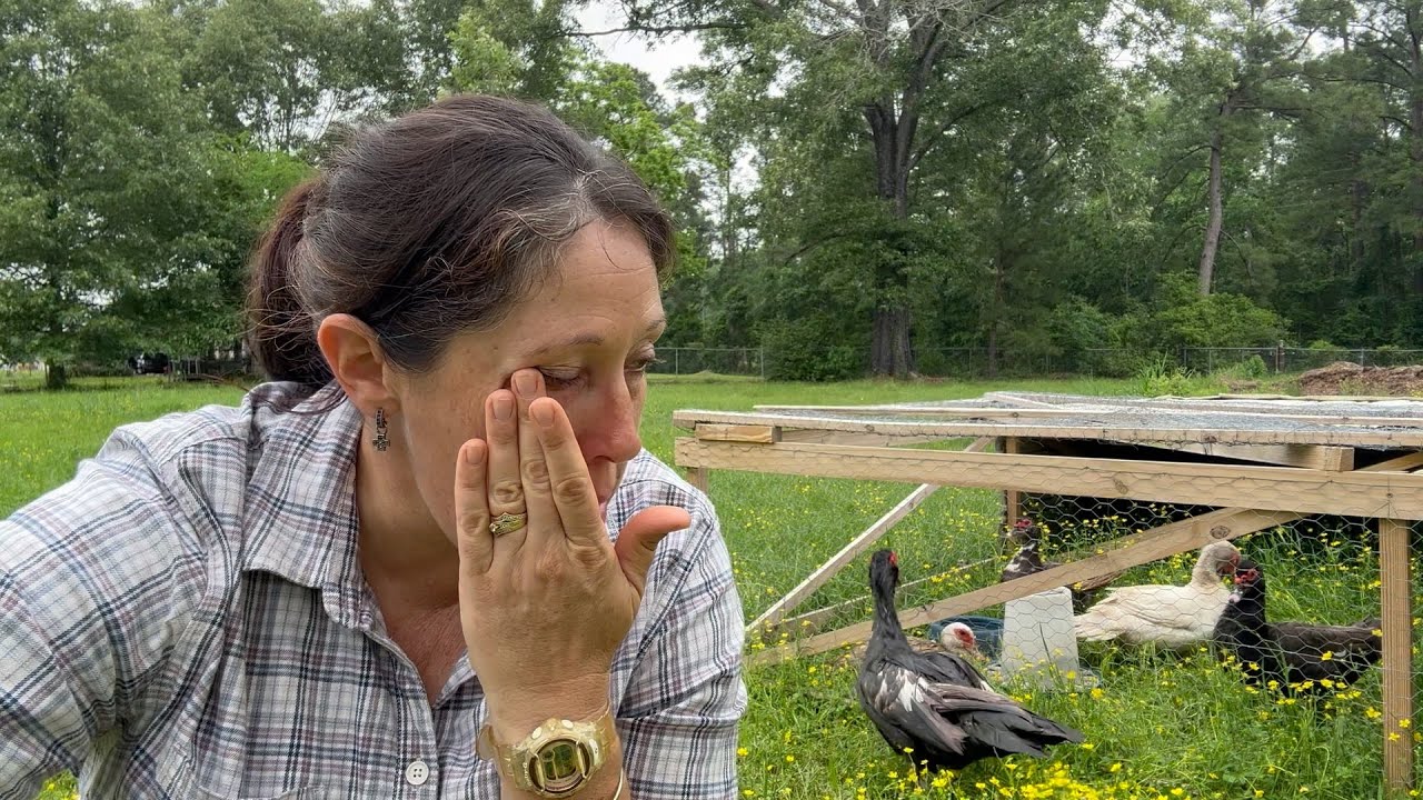 Hundred Days of Homesteading Day 43 - A Hard Conversation - YouTube
