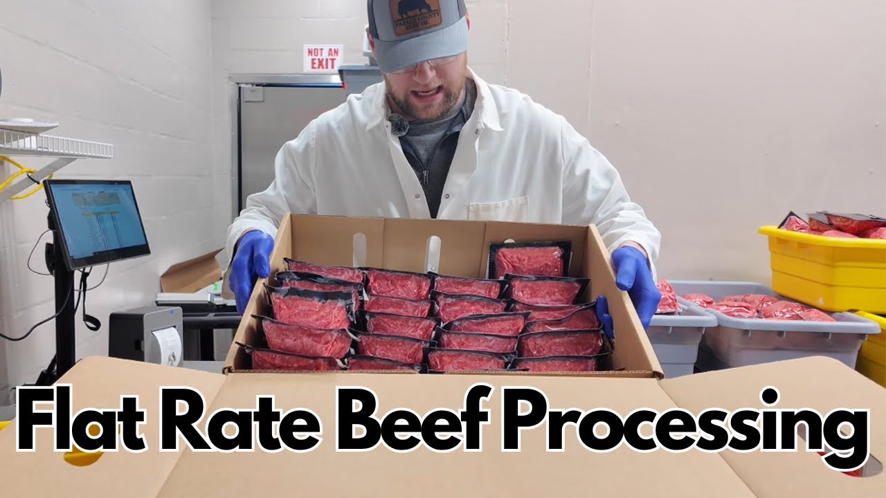 Revolutionizing Beef Processing: Flat Rate $750 USDA Processing at ...