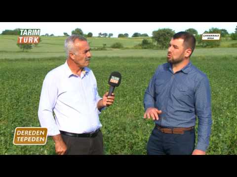Dereden Tepeden | Kinoa Yetiştiriciliği | TARIM TÜRK TV