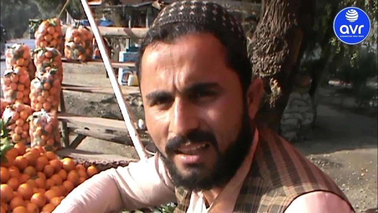 ننګرهار کې د مالټو حاصلات د تېر کال په پرتله ډېر شوي Youtube
