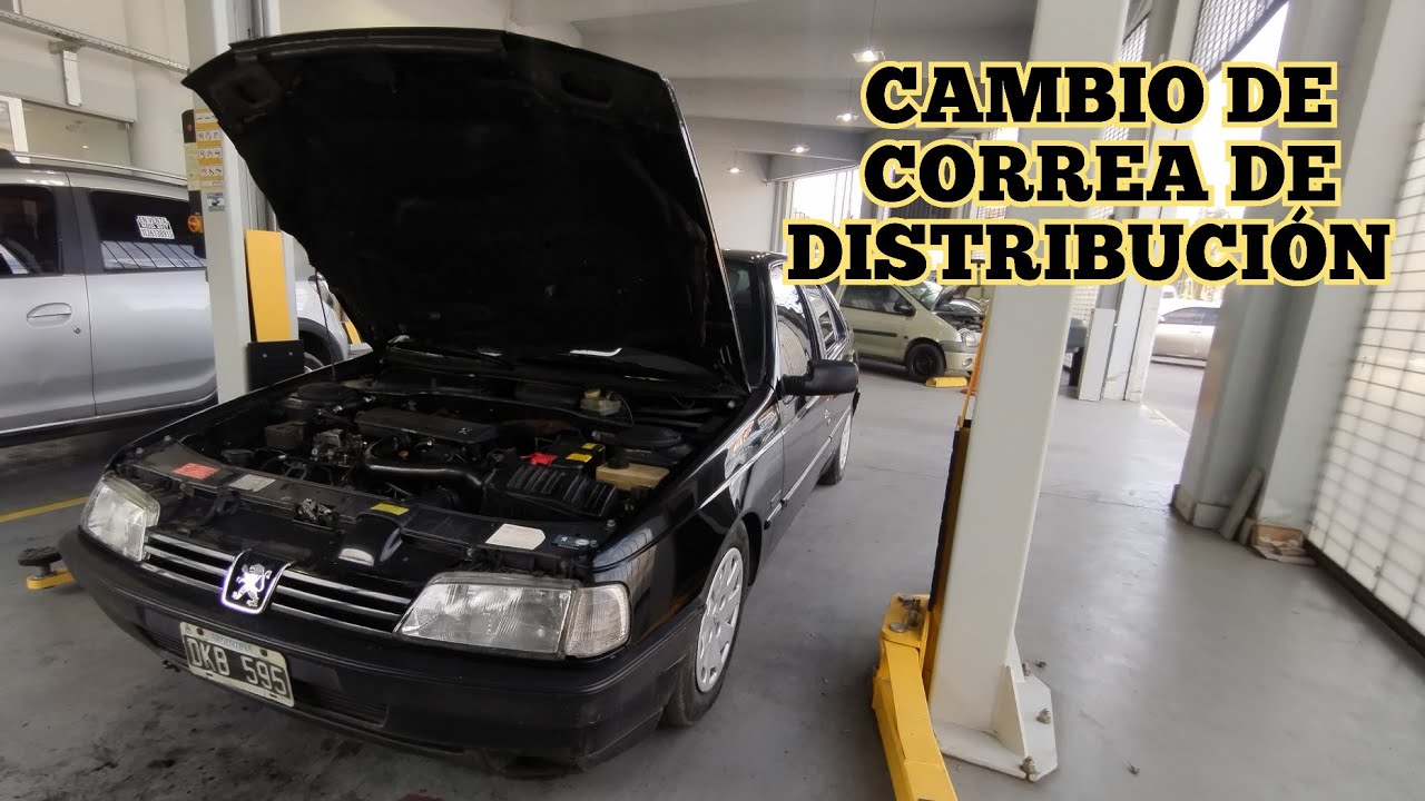 Distribucion Peugeot 405/306/Partner XUD9 (1.9 D) / AGUSTIN SEBASTIAN ...