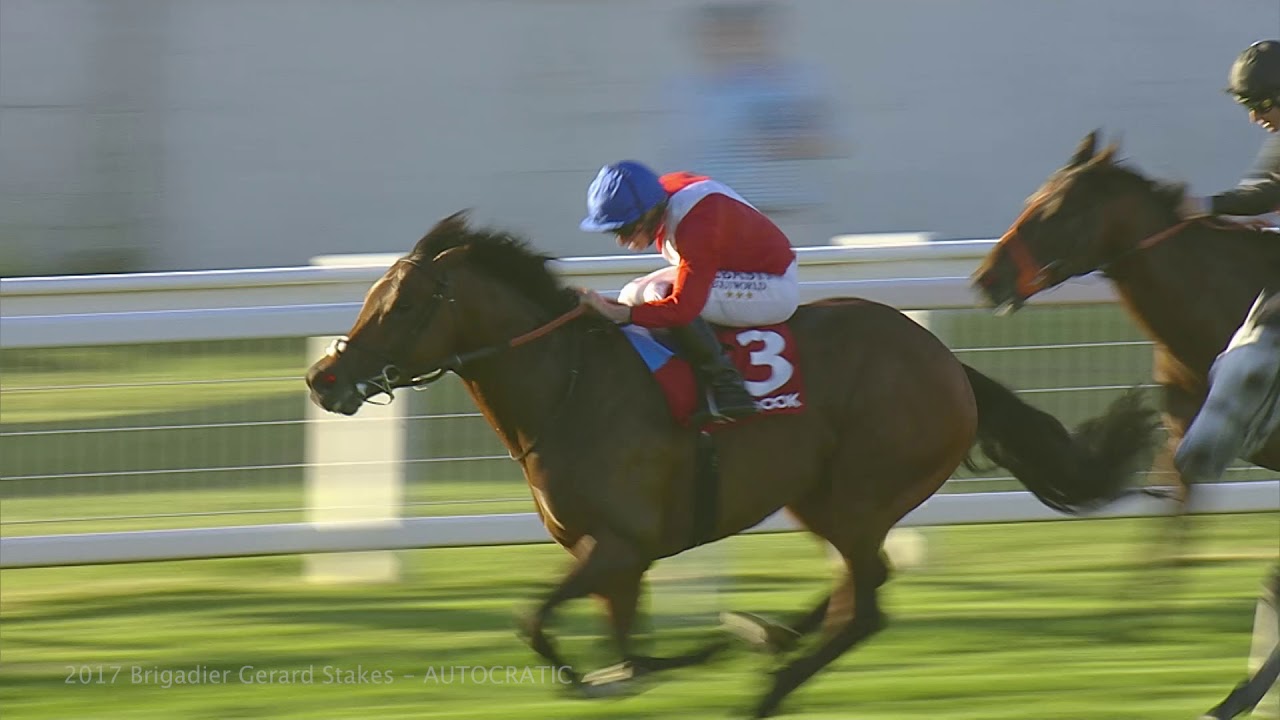 London's Night at the Races - Racing highlights - YouTube