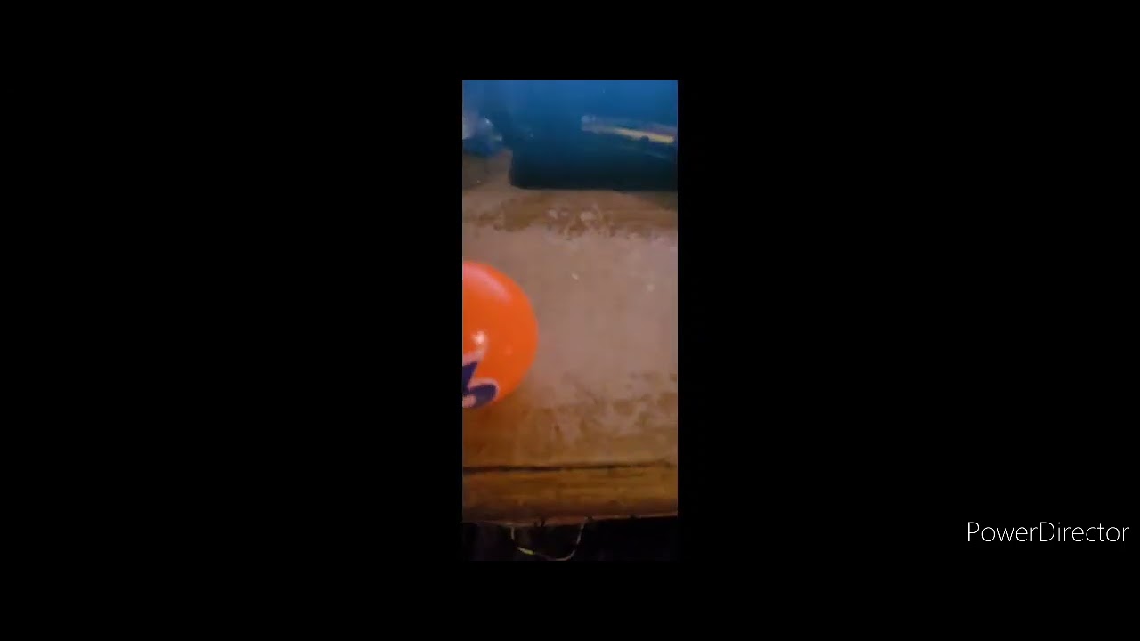 The History Of The 76 Gas Station Round Ball. - YouTube