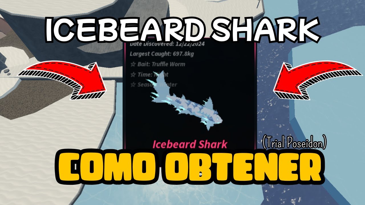 Cómo OBTENER EL ICEBEARD SHARK en Fisch! Roblox - YouTube