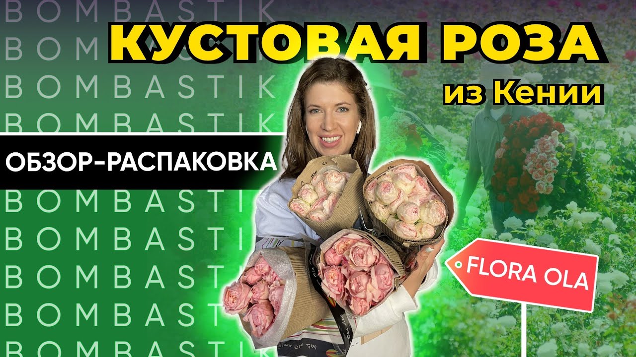 КУСТОВАЯ РОЗА ИЗ КЕНИИ | Обзор и распаковка коробки кустовых роз ...