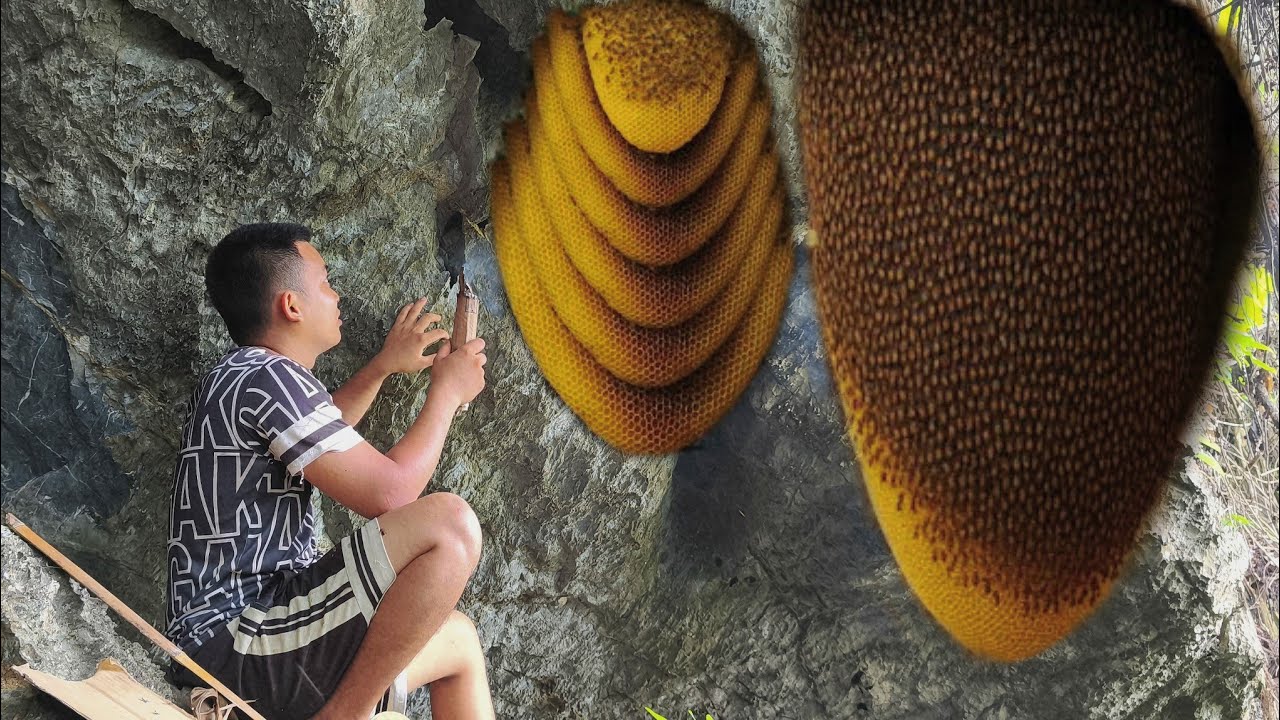 Bee catching skills without protective gear and bee attacks. - YouTube