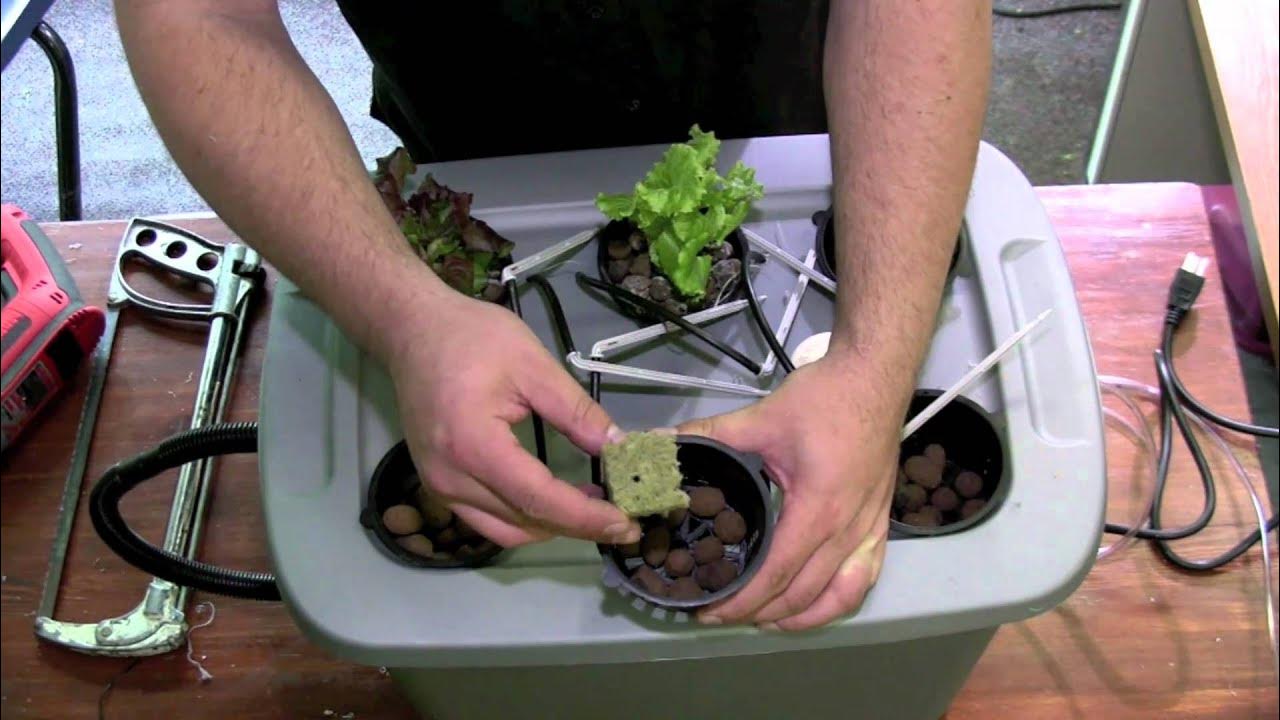 How to build a hydroponic system part 2 - YouTube