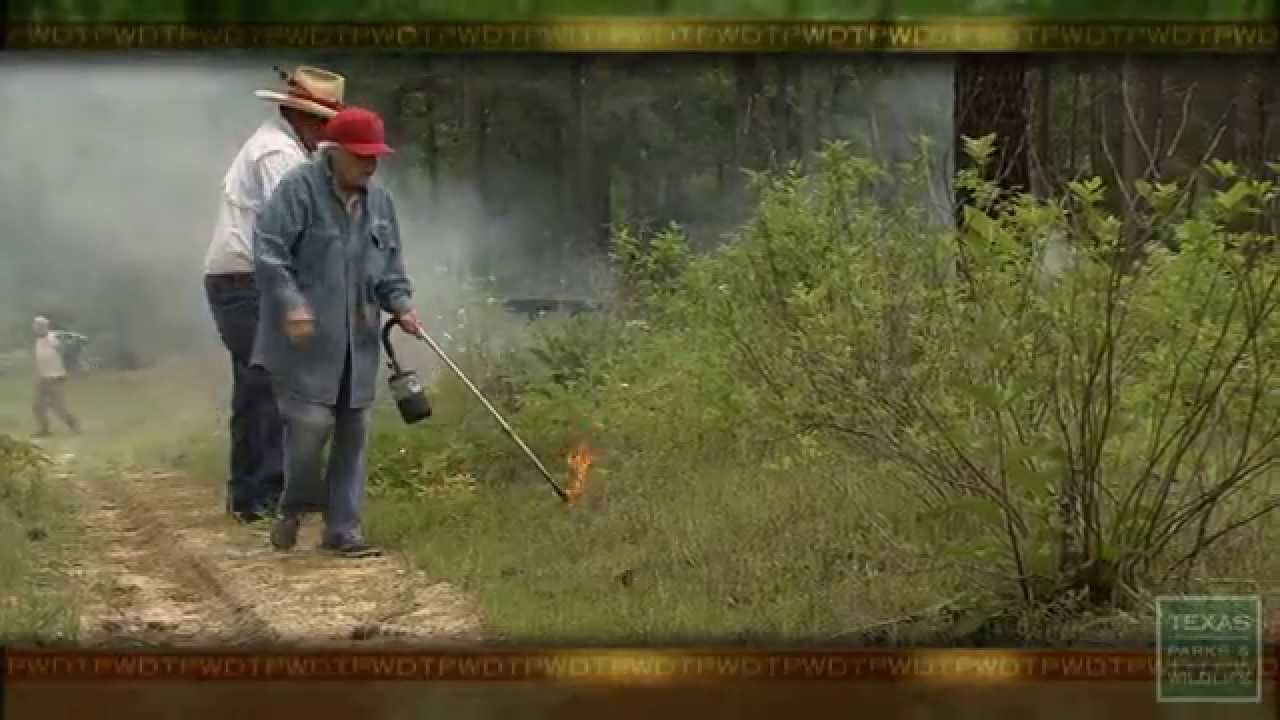 PBS Show October 19-25, 2014, #2301 - YouTube