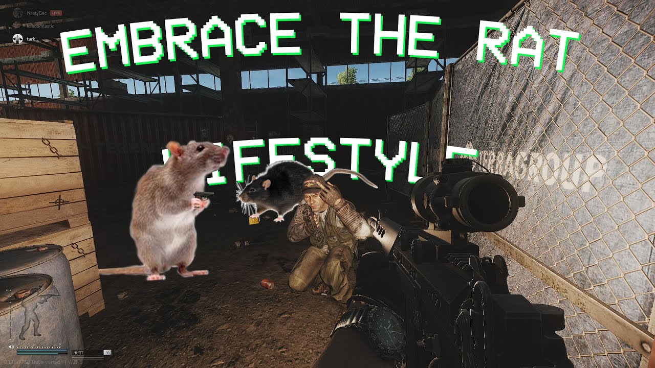 Being A Rat Ain't So Bad - YouTube