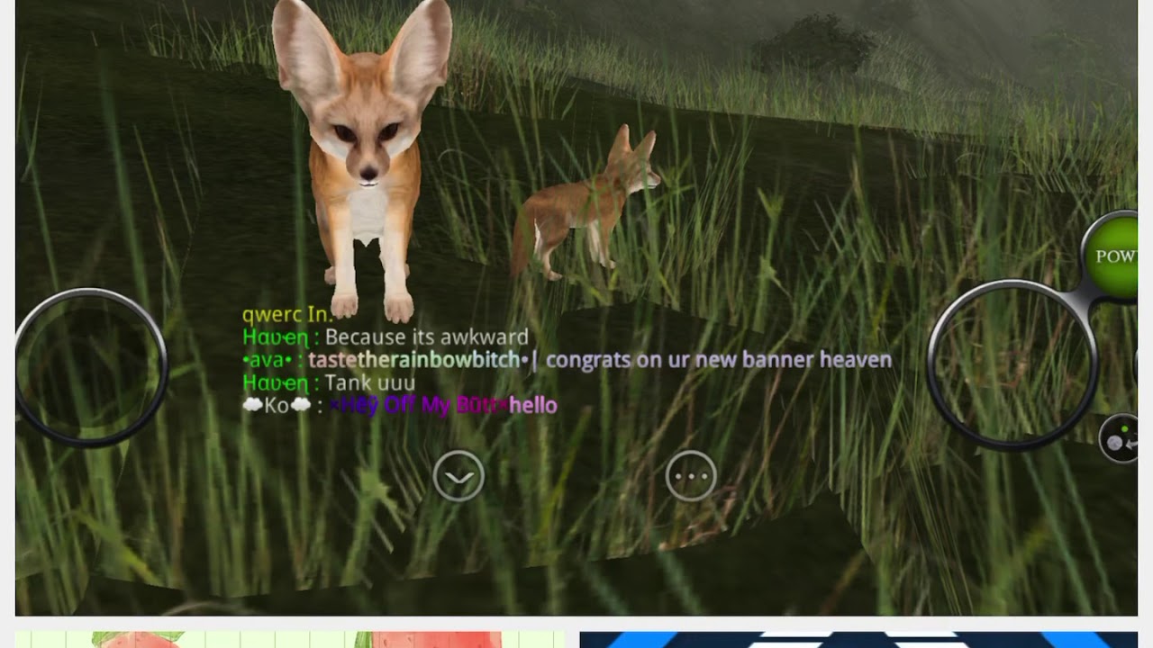 New fennec fox - YouTube