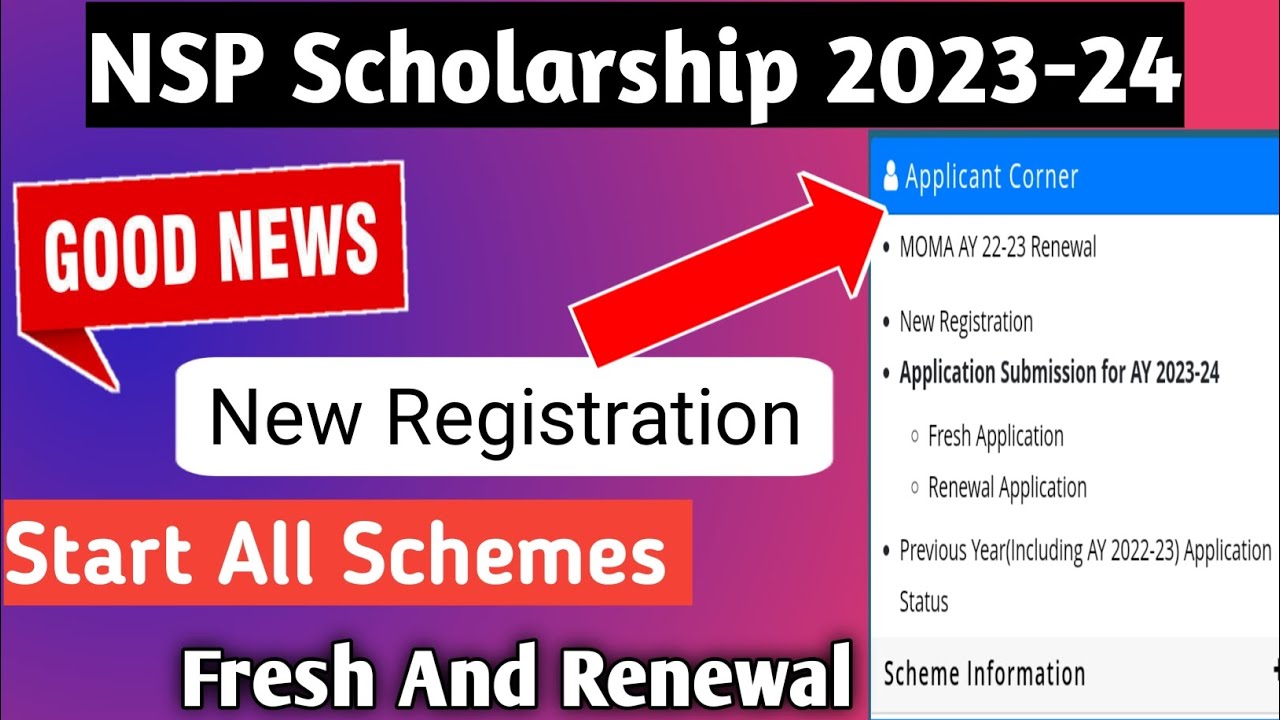 Nsp Scholarship 2023 24 Apply Fresh And Renewal Form Online Apply