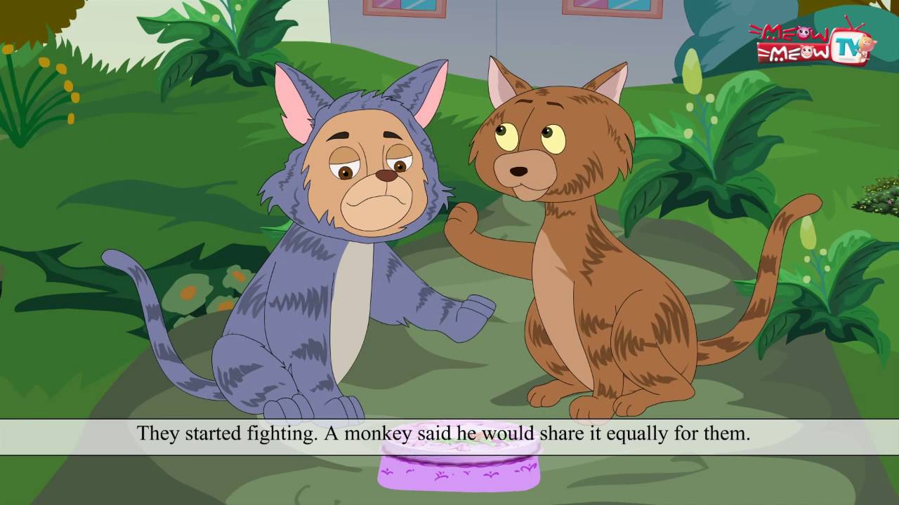 Two Hungry Cats - Meow Meow TV - YouTube