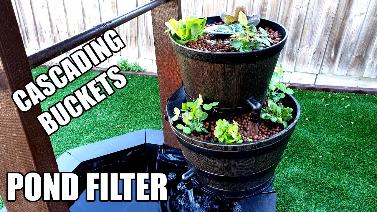 DIY Pond Filter And Aquaponics - YouTube