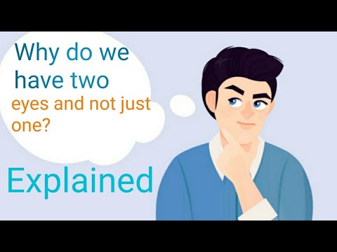 Why do we have two eyes for vision I Advantages I Prajan - YouTube
