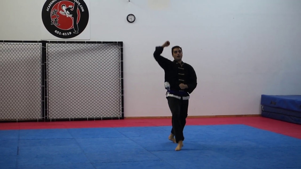 Forme de kung fu à Québec: Shaolin Da Luo Han Quan par Thierry à l ...