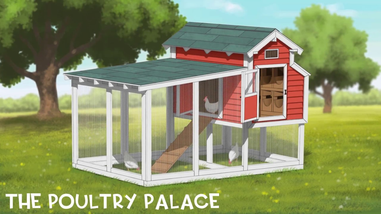Chicken Coop Plans - Poultry Palace - YouTube