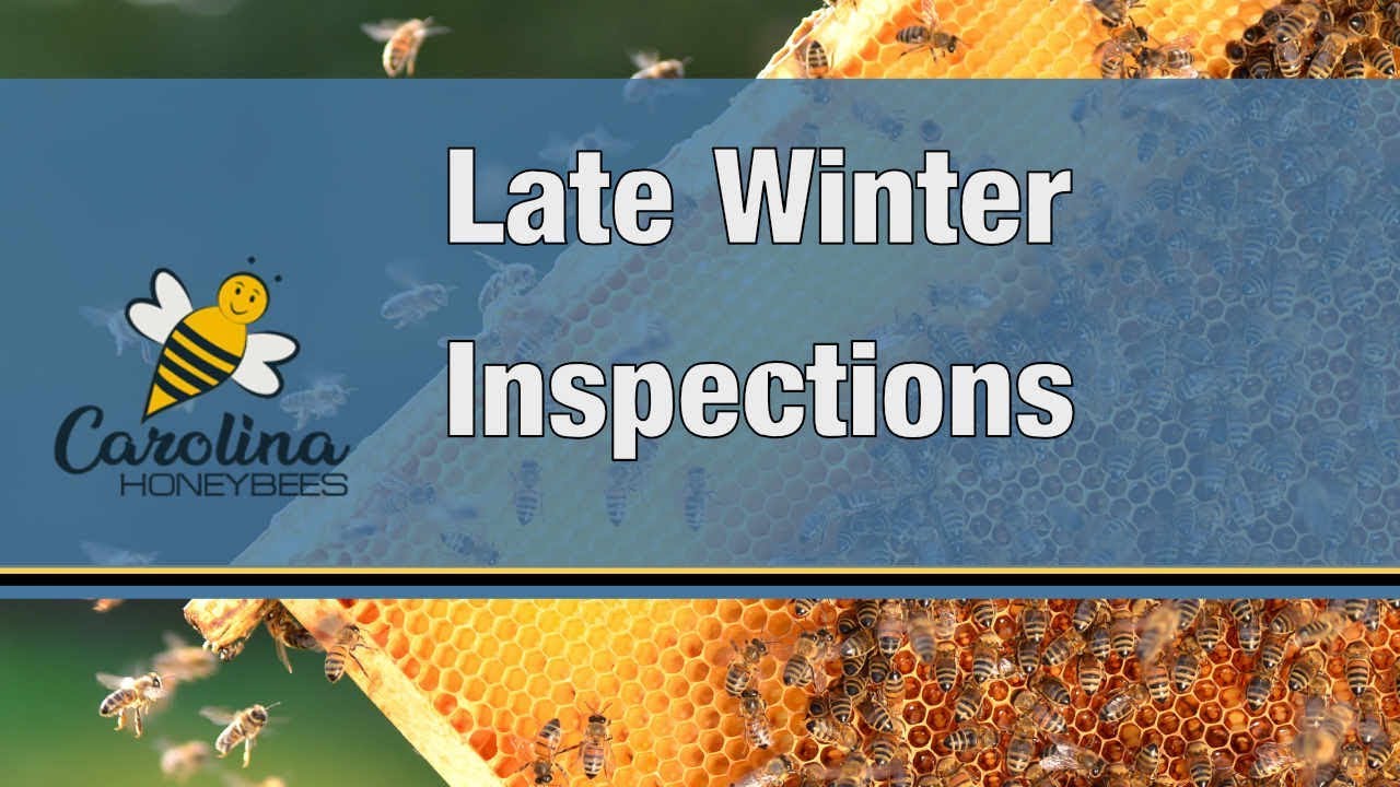 Later Winter Hive Inspections in the Bee Yard-Getting ready for Spring ...