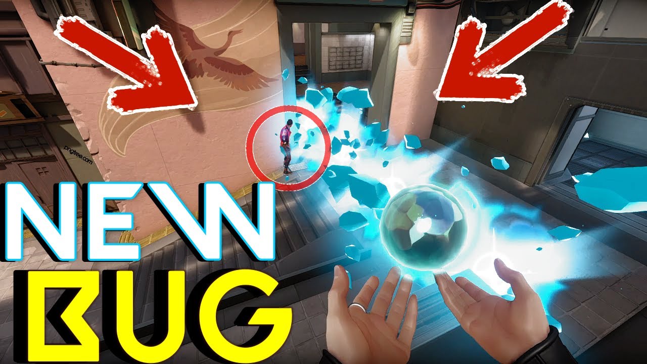 YORU BUG | YORU DESTROY SAGE WALL IN 1 SECOND | - YouTube