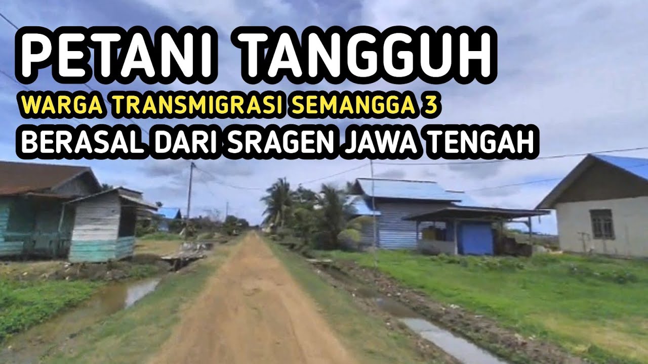 Petani Tangguh dari Sragen Jawa tengah||Transmigrasi Semangga 3 ...