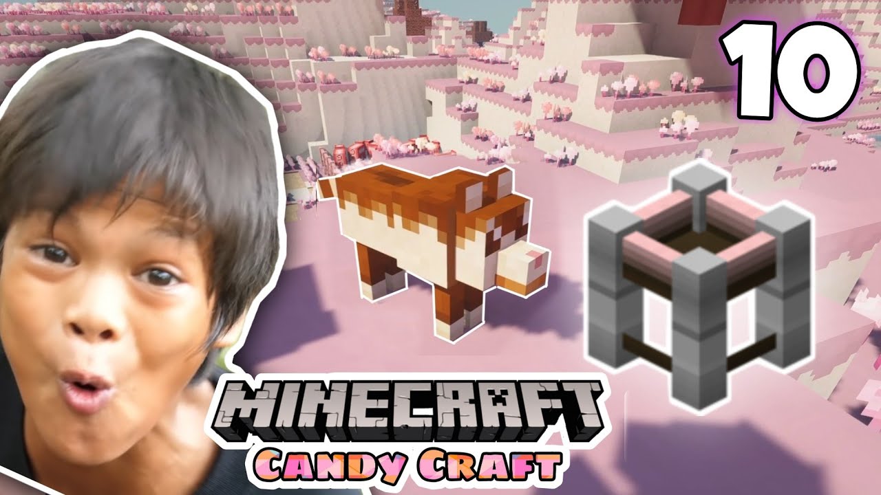 ស្រក់ទឹកមាត់ !!! 😋 ម៉ាសុីនផលិតថ្នាំពិសេស!!! 😍 | Minecraft Candy Craft ...