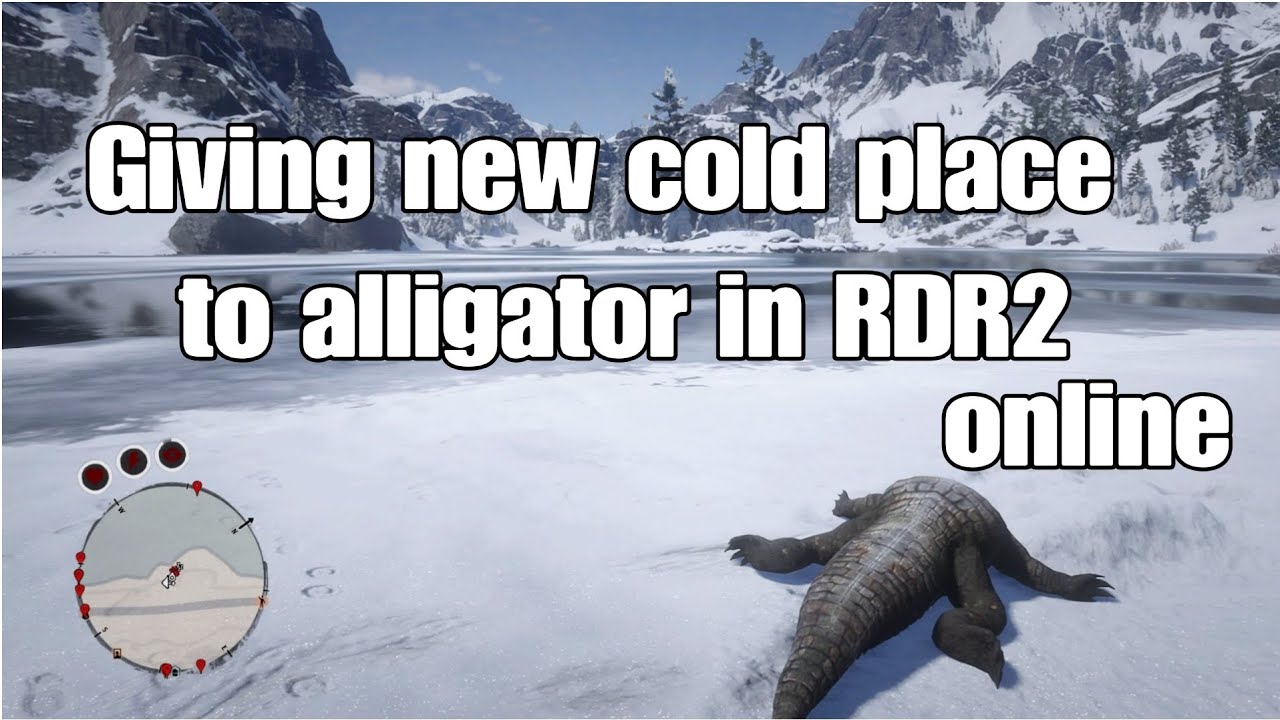 what happen If you take alligator to frozen lake in RDR2 online - YouTube