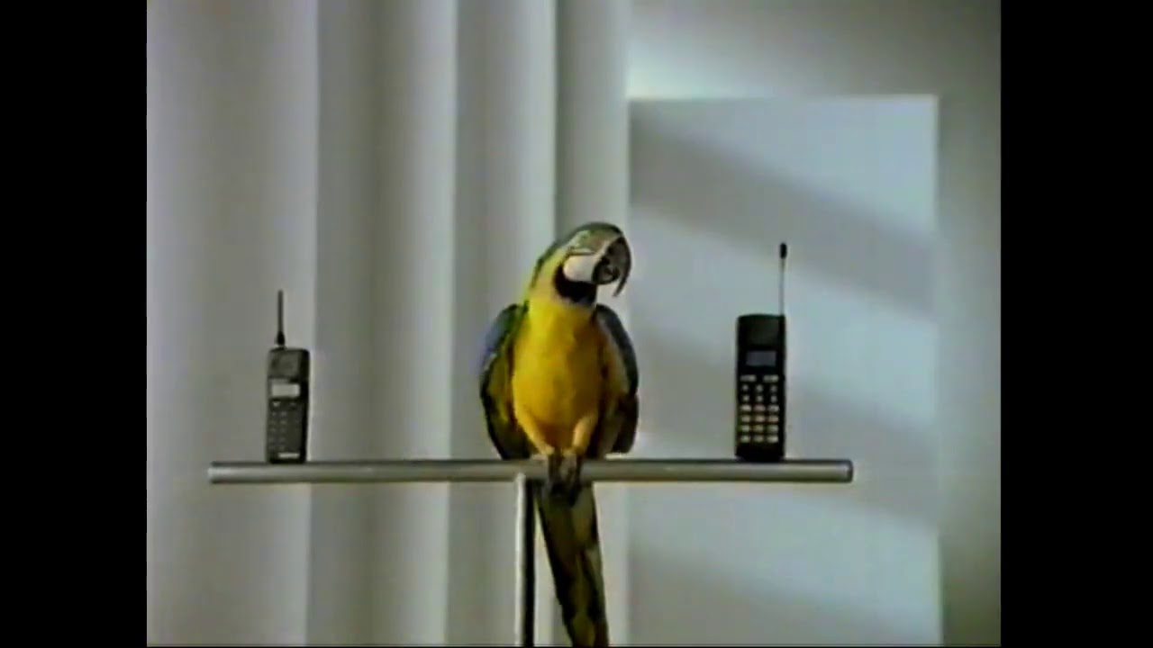 1998 Omnipoint - Talking Parrot Commercial - YouTube