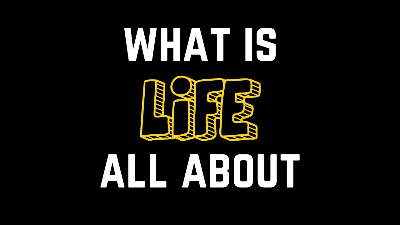 THIS Is What Makes Life Worth Living YouTube this-is-what-makes-life-worth-living-youtube