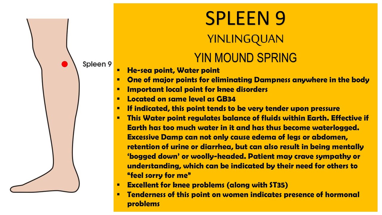 SPLEEN 9 YINLINGQUAN (YIN MOUND SPRING) - YouTube