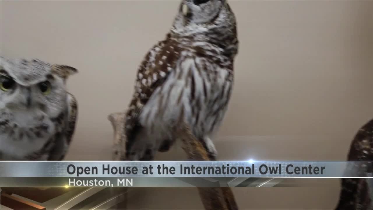 International Owl Center open house - YouTube