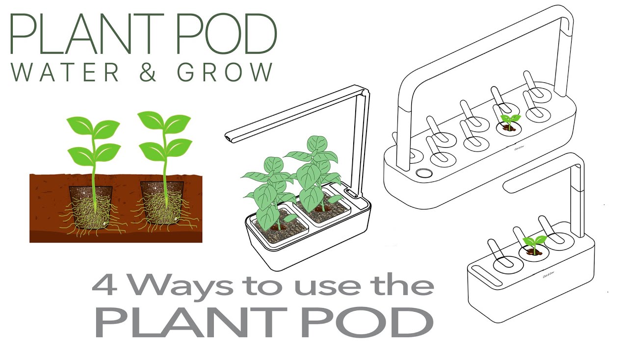 4 Ways to use the PLANT POD - YouTube