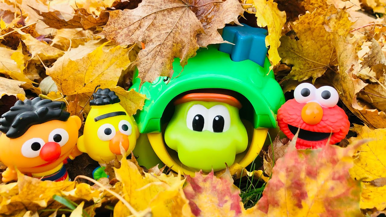 Sesame Street Figures SHAPES TURTLE Hiding In Leaves Fisher Price Toy ...