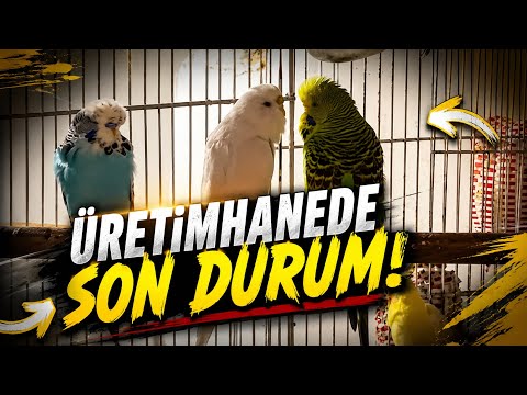 ÜRETİMHANEDE SON DURUM 