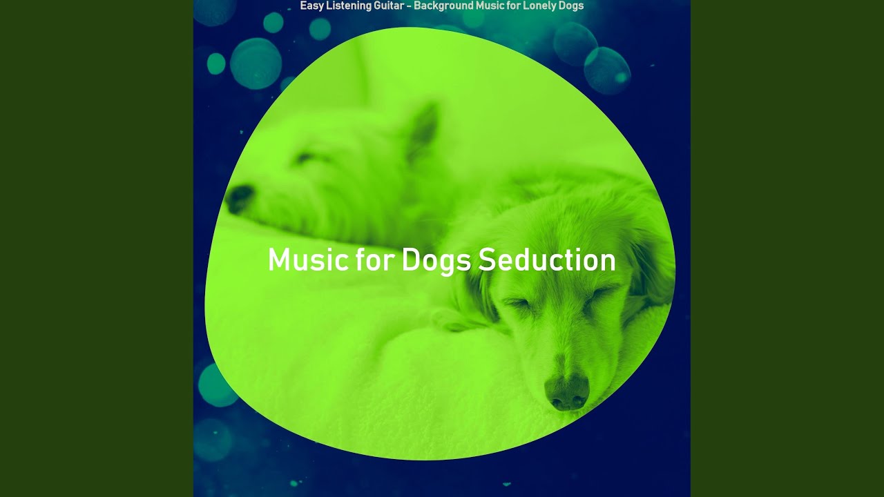 Background for Calming Dogs - YouTube