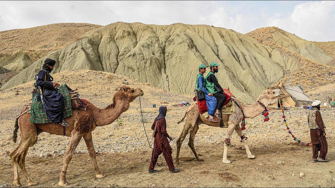 Camelback counters trek wilderness to carry out Pakistan census - YouTube