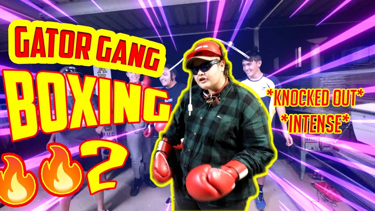 GATOR GANG BOXING V.2 (BRYCE HALL IS NEXT) - YouTube