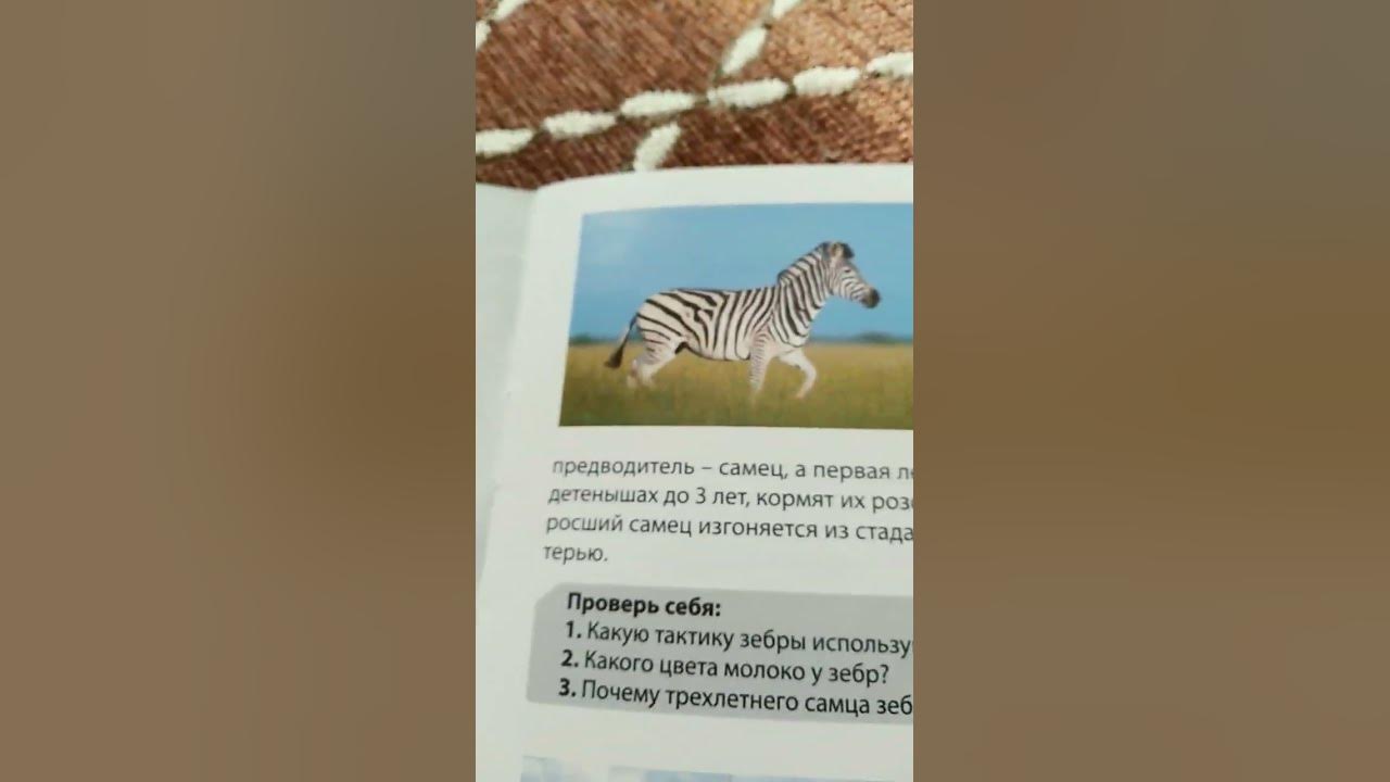 мемо-полия заказывайте на детском мире - YouTube