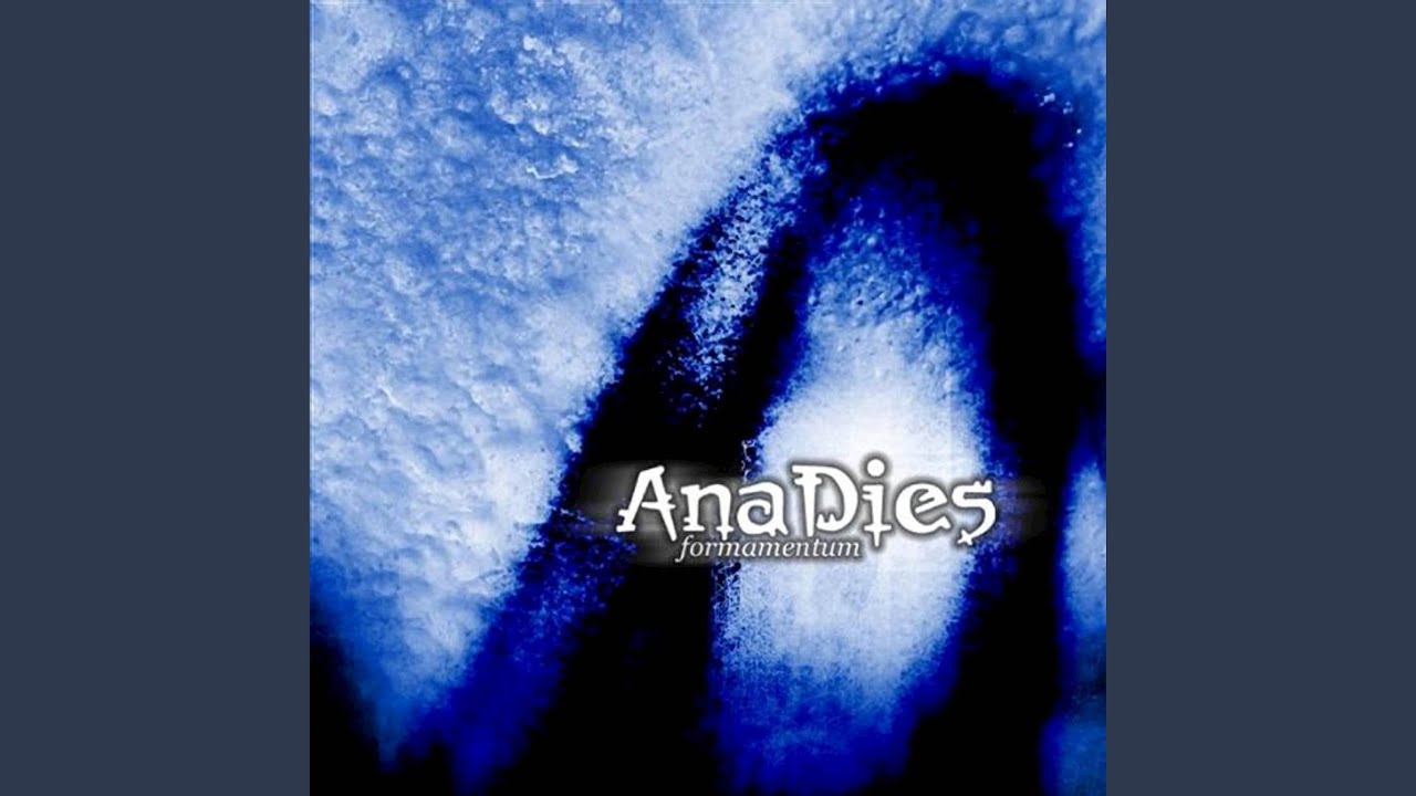 In the Fold - YouTube