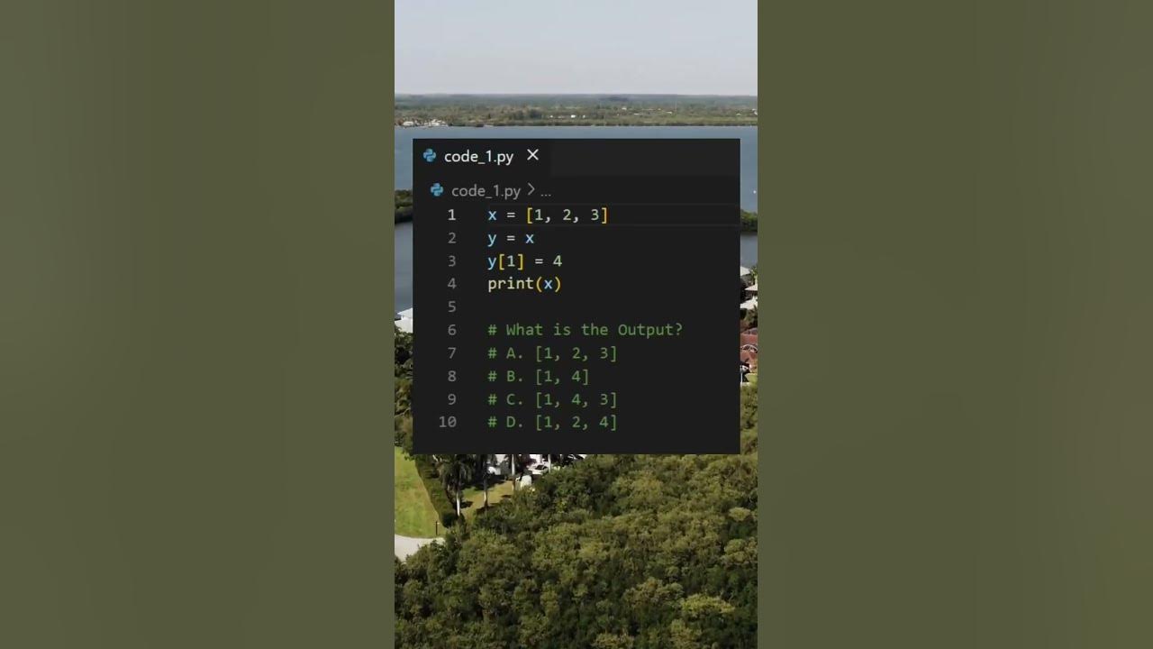 What Is The Output Coding Programming Programmer Codinglife
