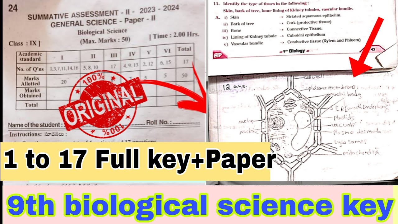💯AP 9th class sa-2 biological science question paper 2024 answer key💯 ...