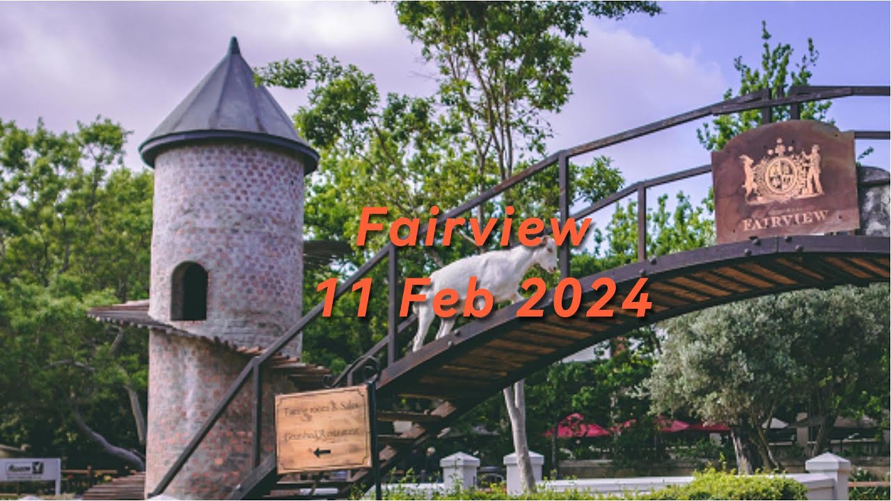 Fairview Wine Estate 11 Feb 2024 - YouTube