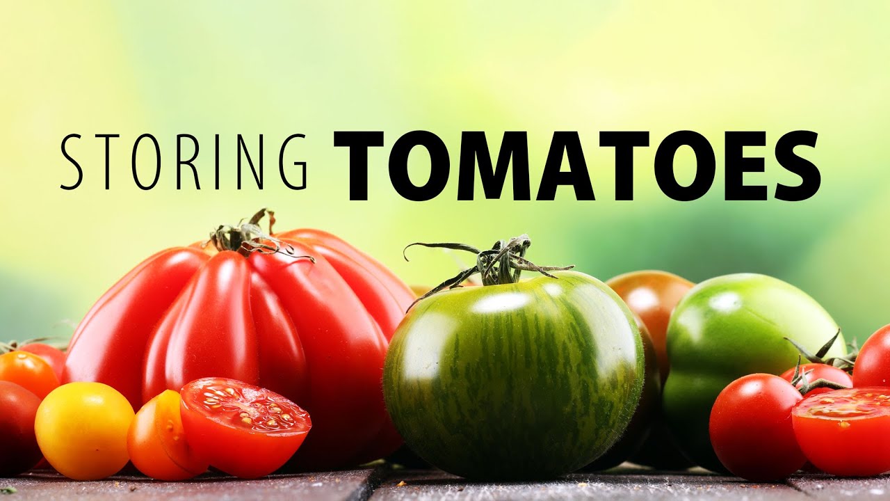 Storing Tomatoes - YouTube