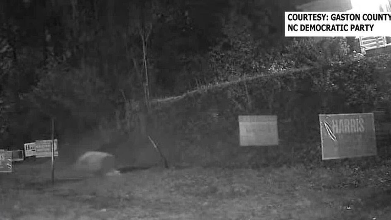 Person caught on camera destroying political sign in Gaston County ...