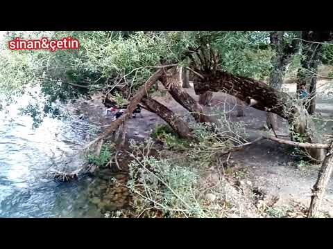Gözeler ovacık