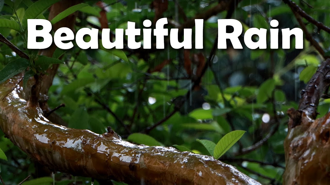 Beautiful Rain | Heavy Rain on Beautiful | Heavy Rain and Lightning on ...